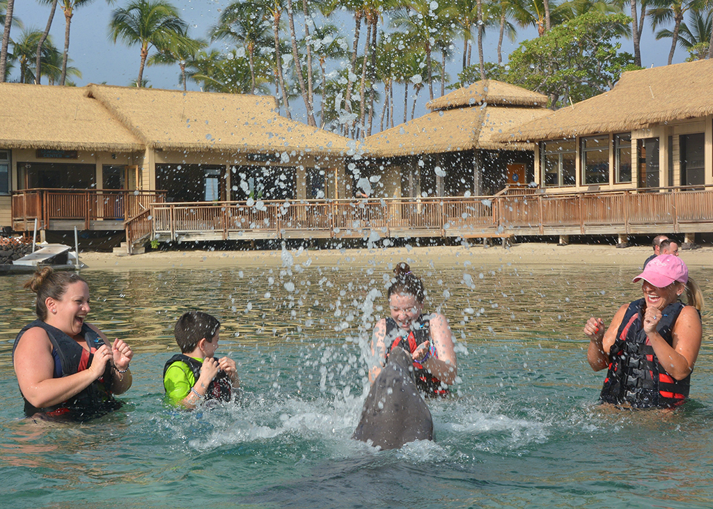 Dolphin Quest: Swimming With Dolphins On The Big Island Of Hawai'i