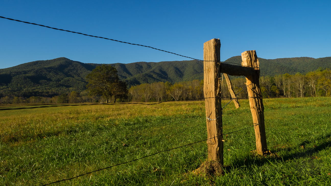 Meanderthals | Rich Mountain Loop at Cades Cove, Great Smoky Mountains ...