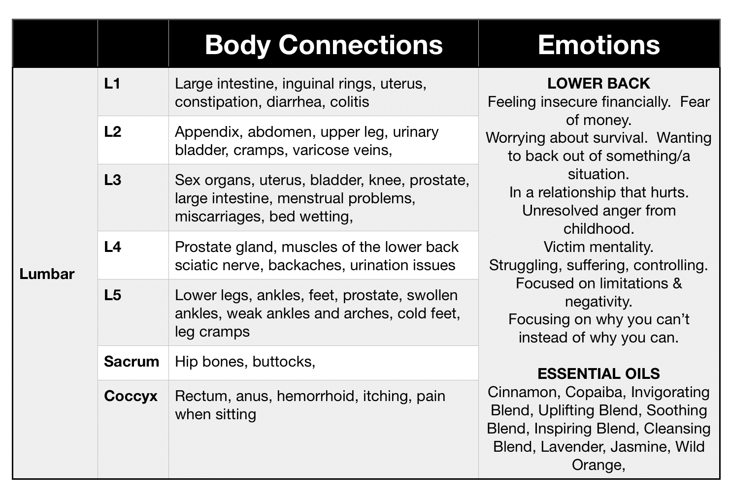 Lower back | Jade Balden