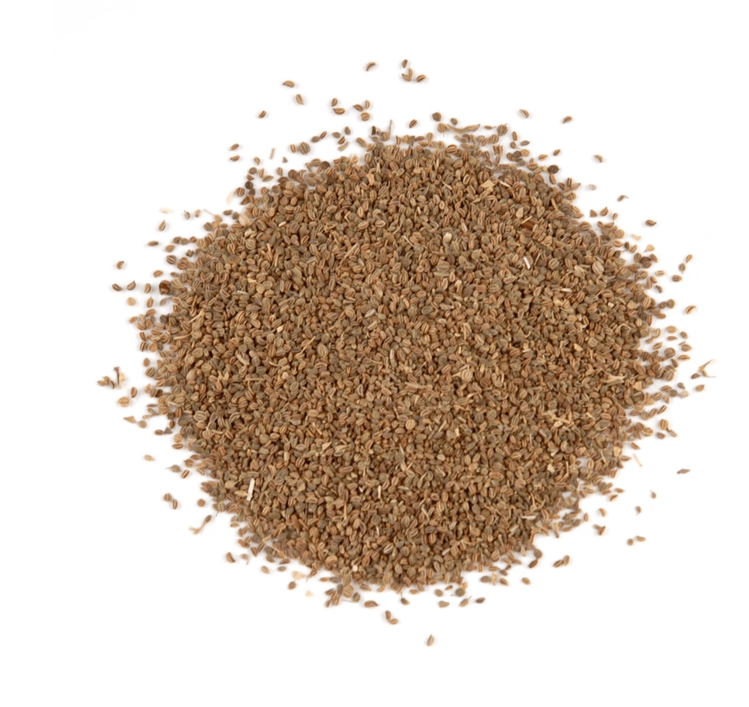 celery seed | Jade Balden