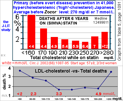 Cholesterol Lowering Statin Drugs for Women, Just Say No
