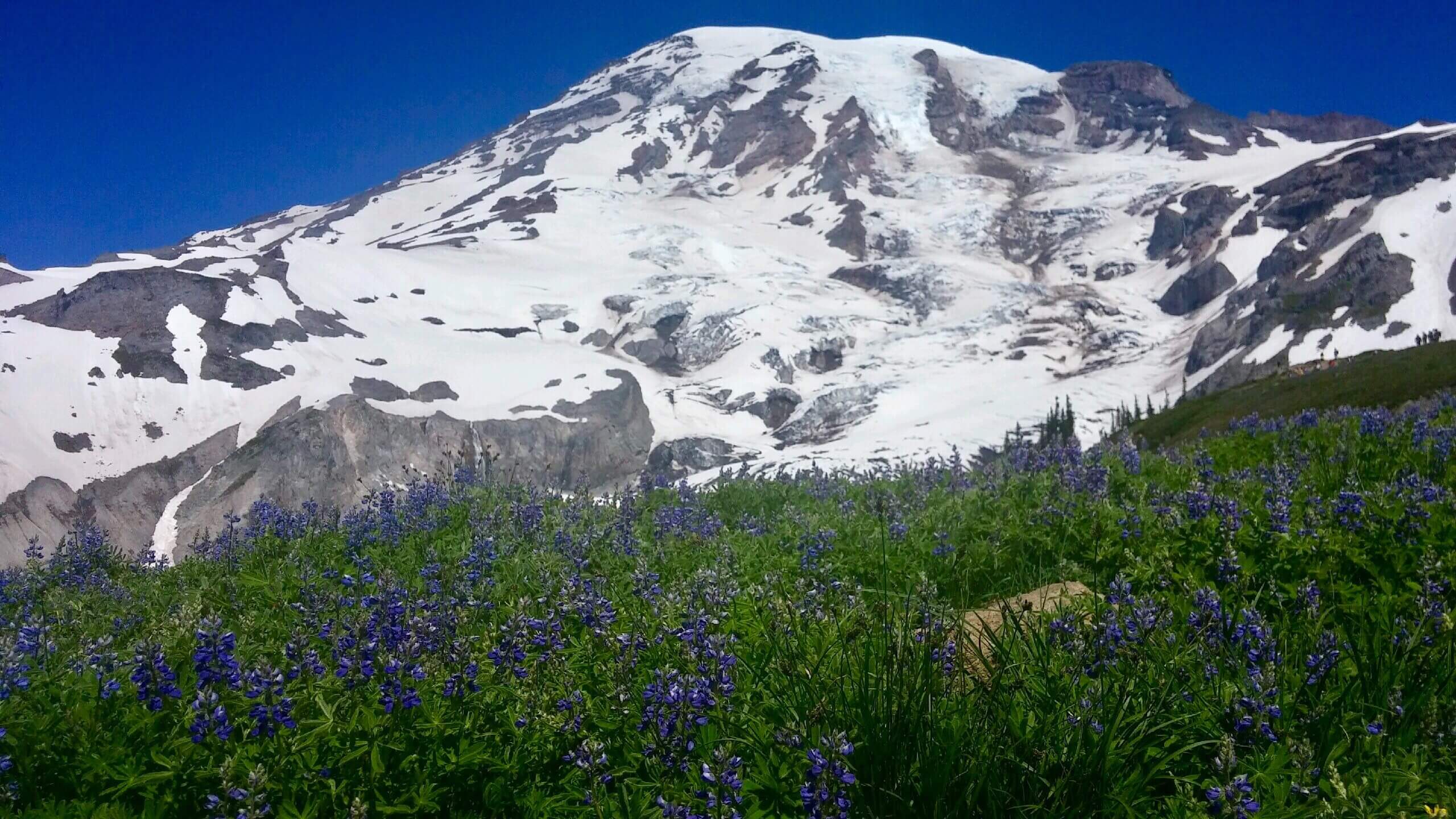 Camp Muir - Jennifer Wyss