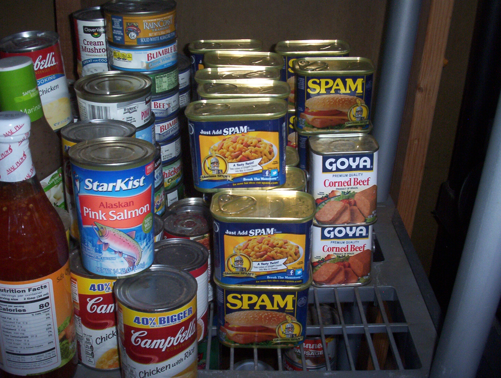 Let us now praise famous Spam. | The Ultimate Answer to Kings