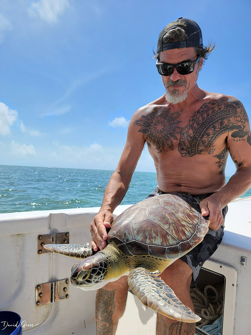 CONSERVATIONISTS & VETS JOIN FORCES TO SAVE FLORIDA KEYS’ SEA TURTLES