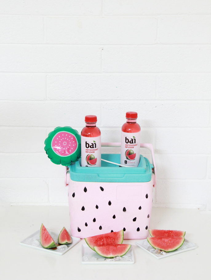 DIY Watermelon Ice Cooler - A Bubbly Life