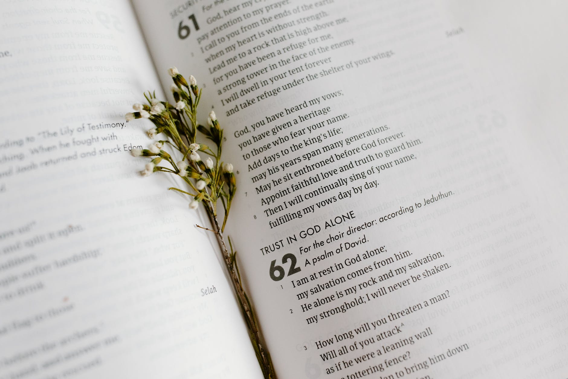 God's beautiful, wonderful words of life * Singing Christ's Hope