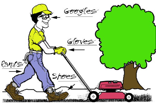 Important Lawn Mower Safety Tips that Any Household Need to Know - Lawn ...