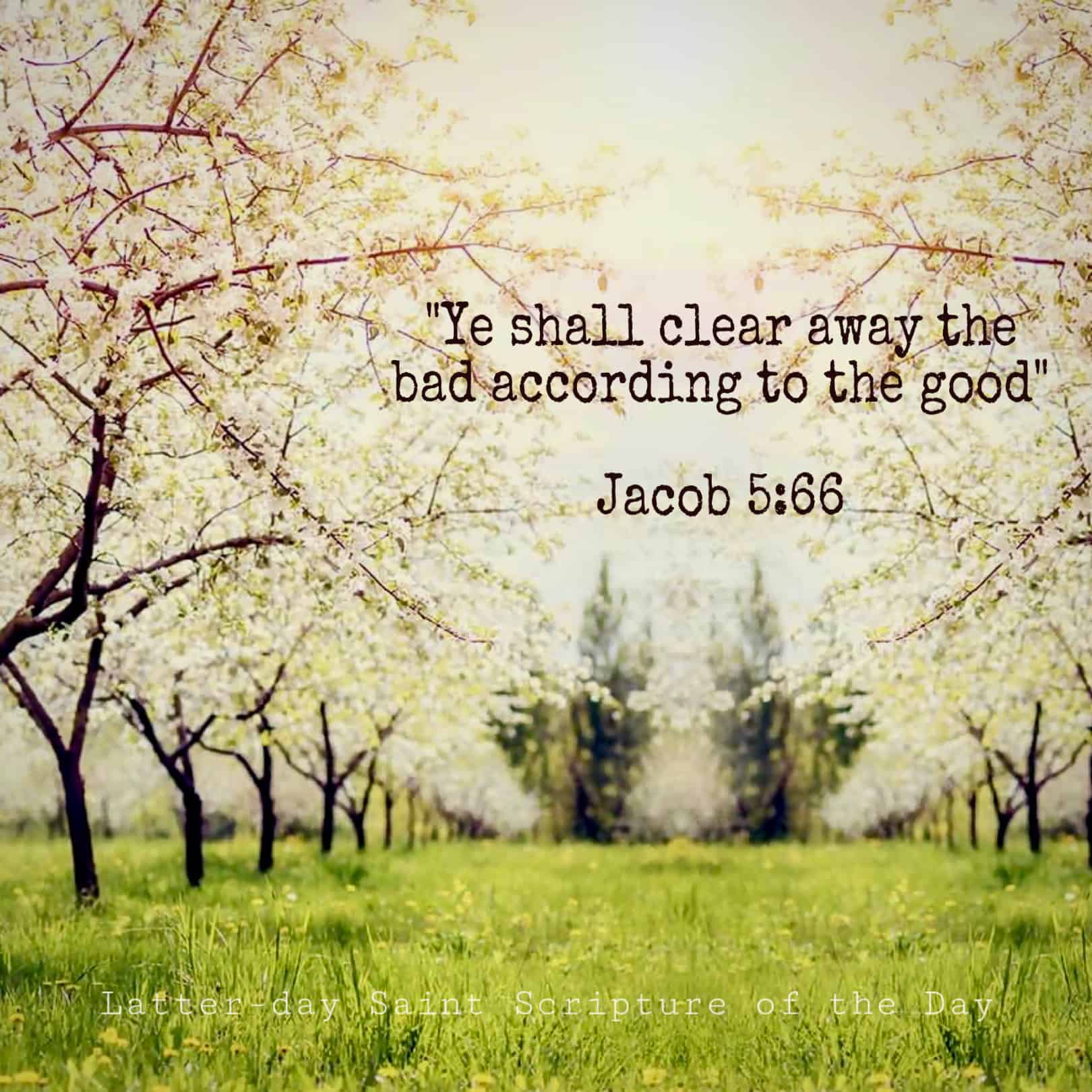 Jacob 5:66 - Latter-day Saint Scripture of the Day