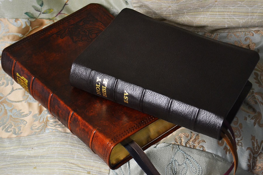 Two New Styles for 2013! Build a Leather-Lined Bible and American West ...