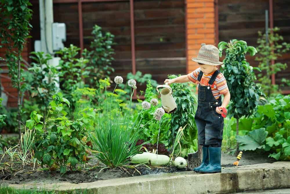 6 Backyard Chores For Kids