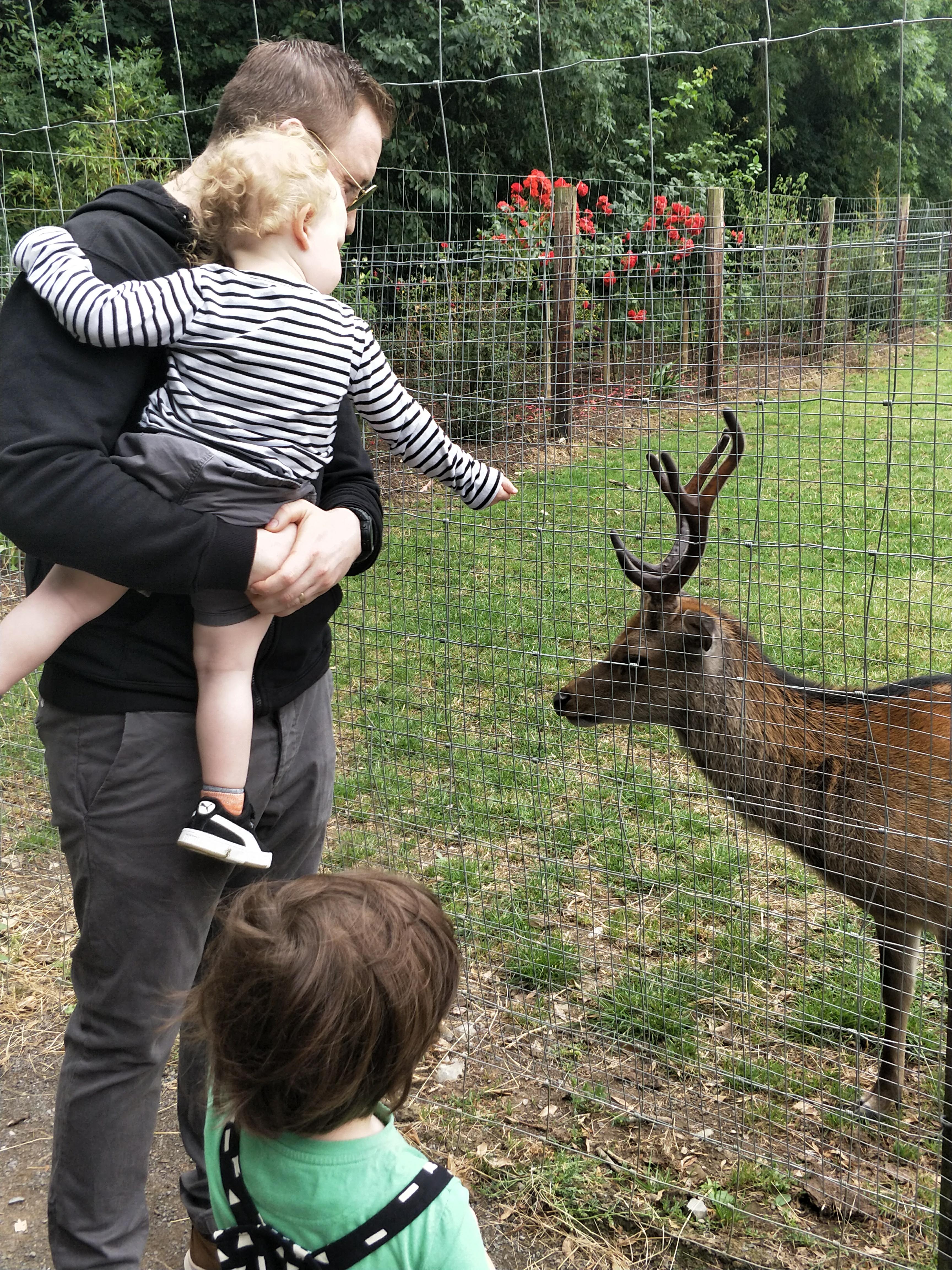 Family Day Out at Clonfert Pet Farm - Life With Tiny Humans