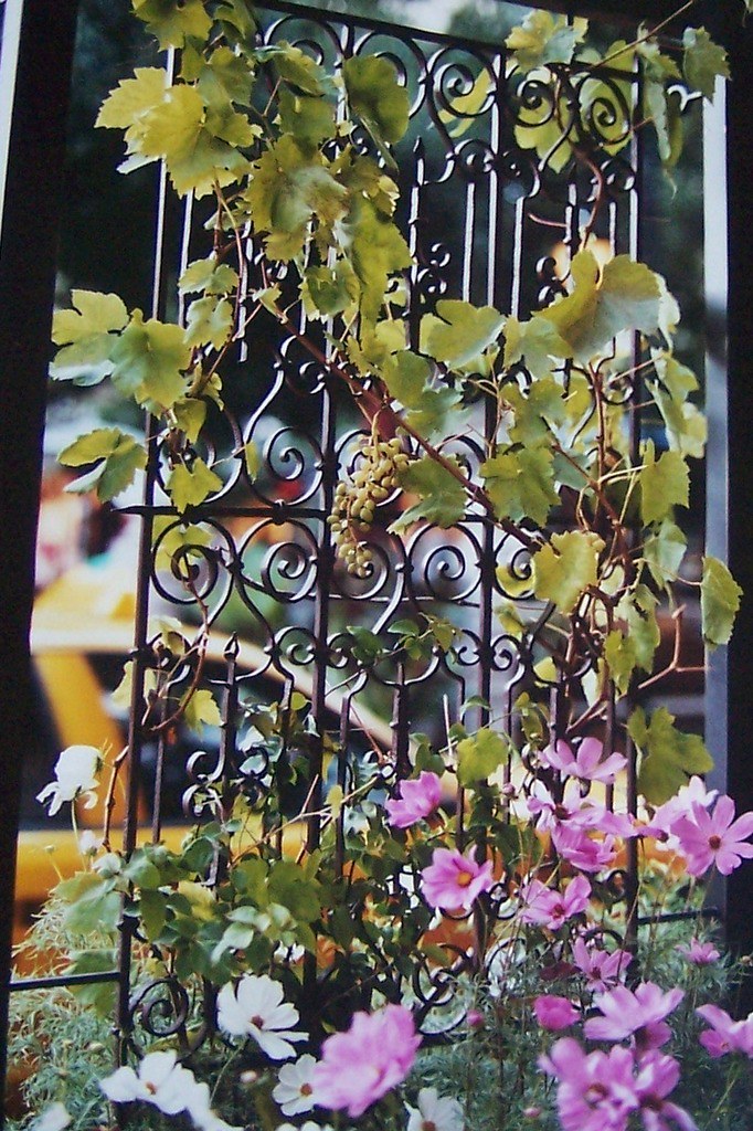 Free People Santana Row