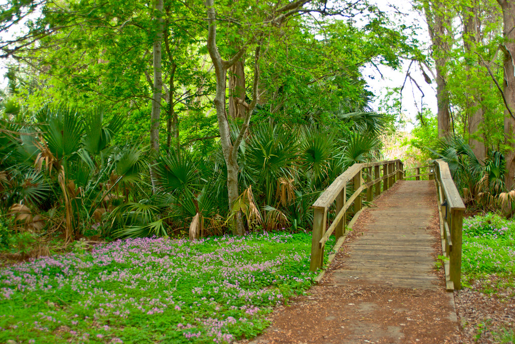 Best Dining Room Ideas – Designer Dining Rooms & Decor: Chapman ...