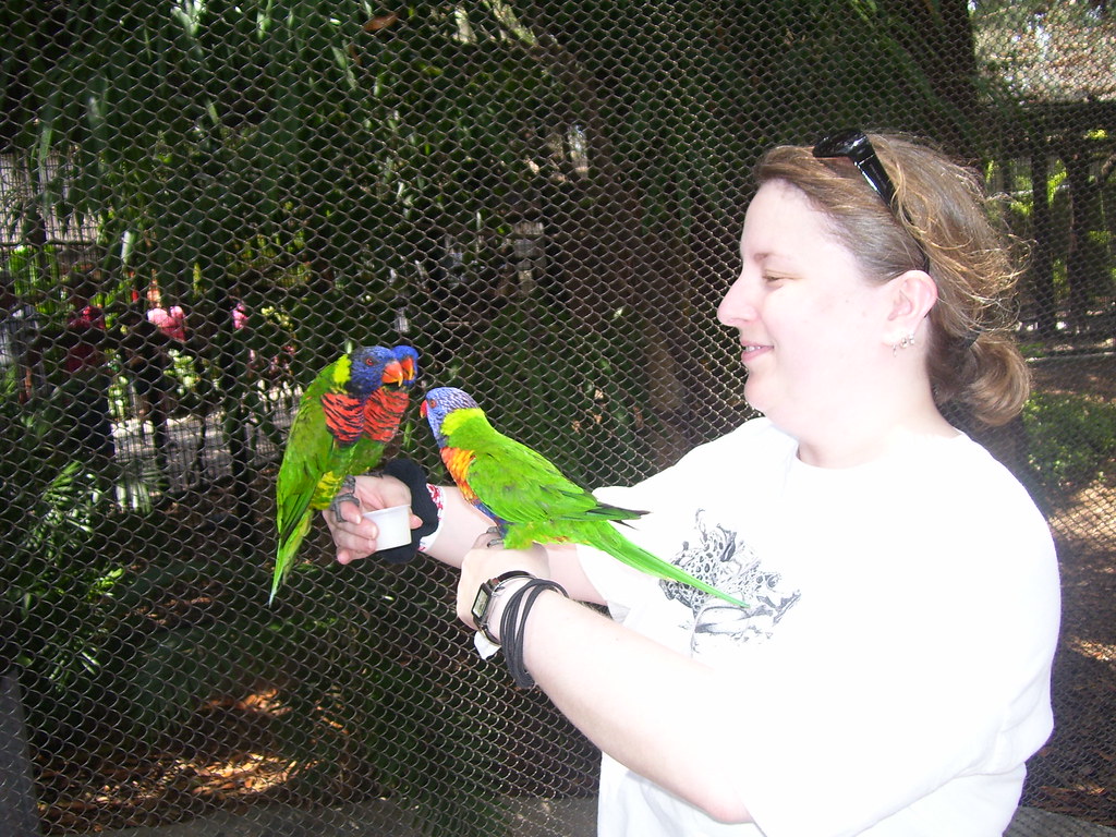 Lory Landing Busch Gardens - amphibian plant examples
