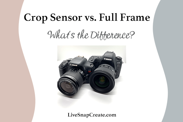 Crop Sensor vs Full Frame Sensor DSLR Cameras - Live Snap Create