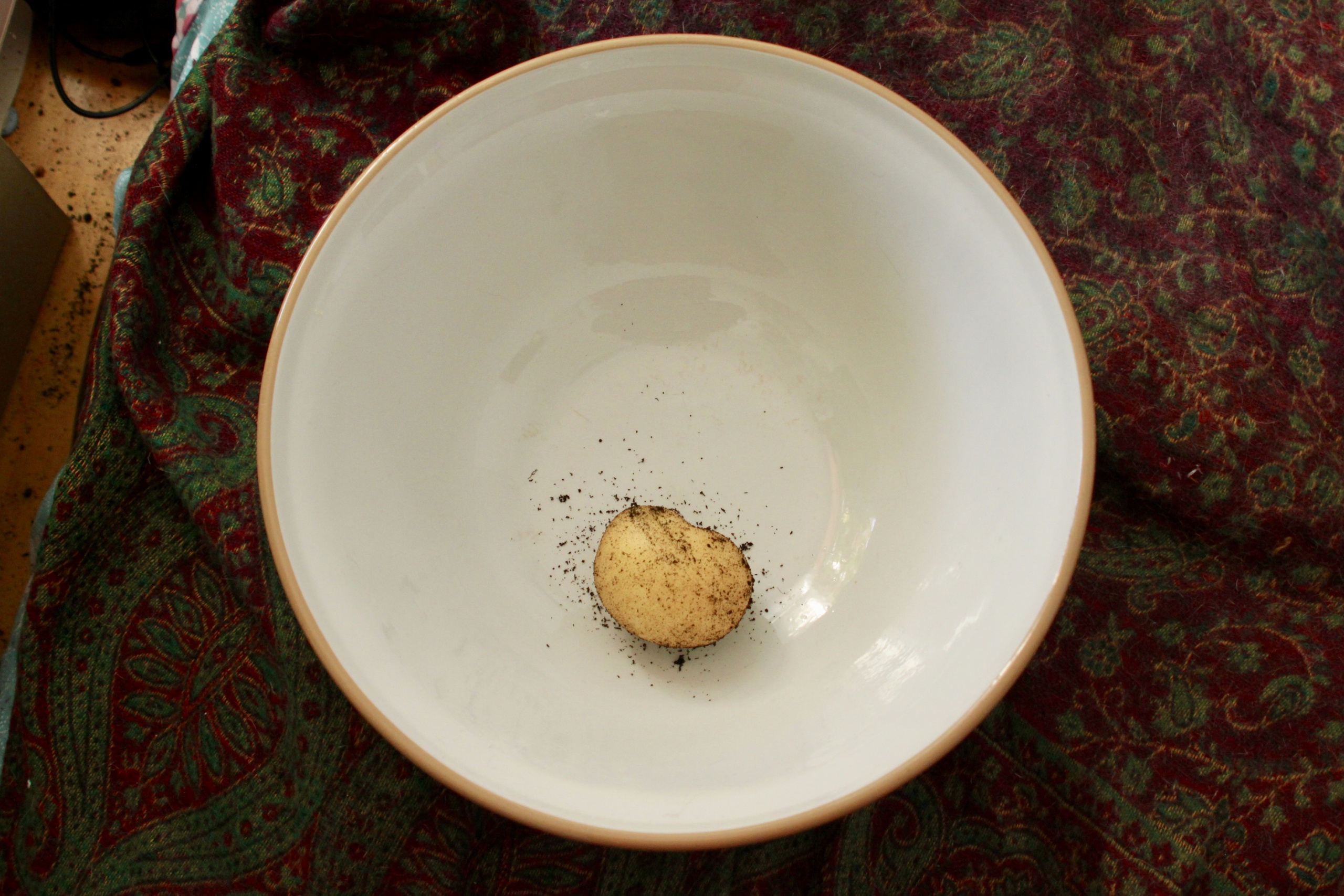31 May 2020 - Whit Sunday | The Everyday Lore Project