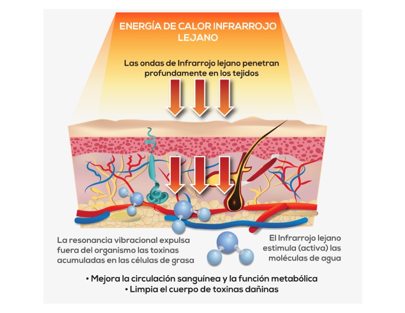 La ciencia de las terapias de calor infrarrojo lejano y la eliminación ...