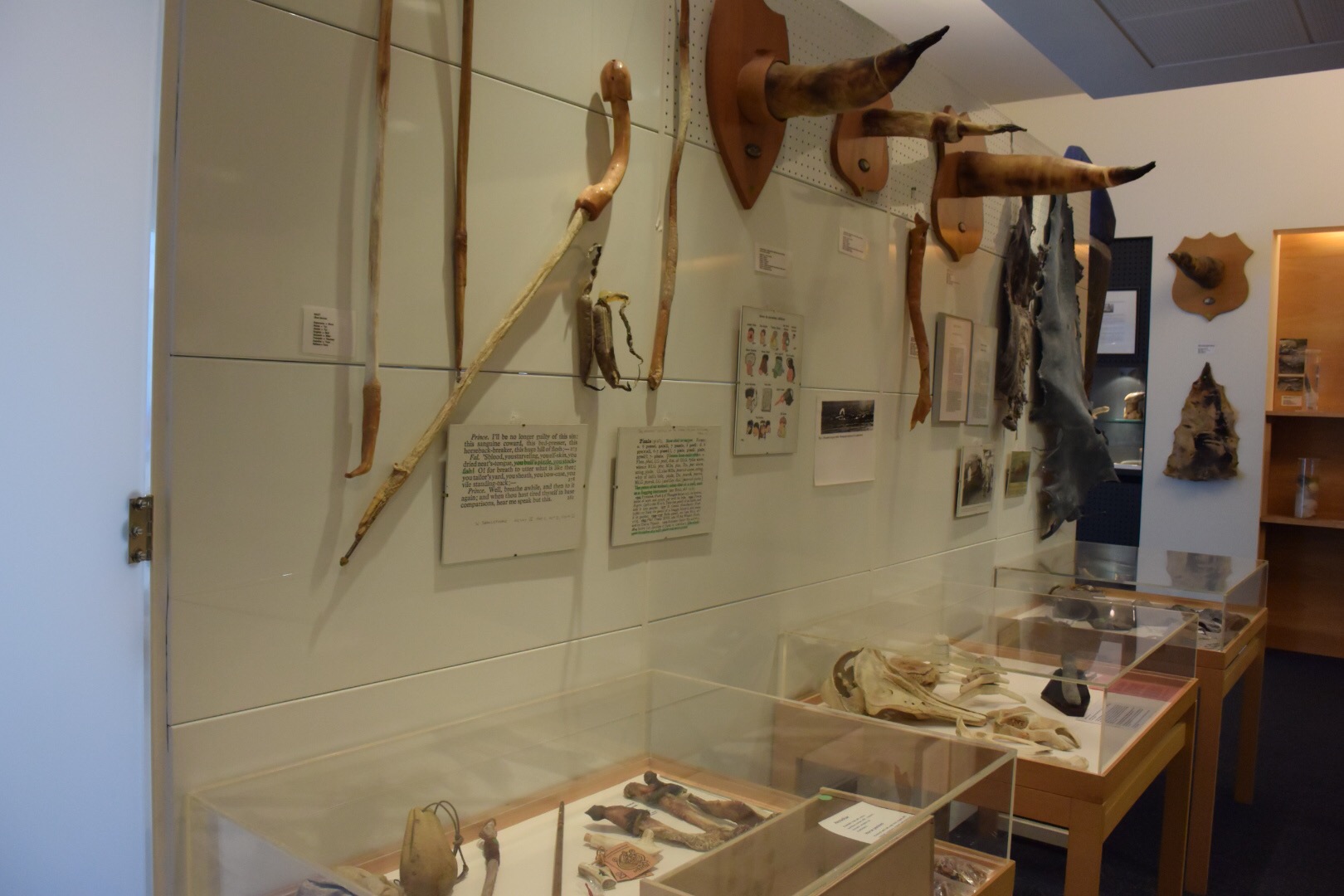 Iceland's Penis Museum (The Icelandic Phallological Museum) - Mags On ...