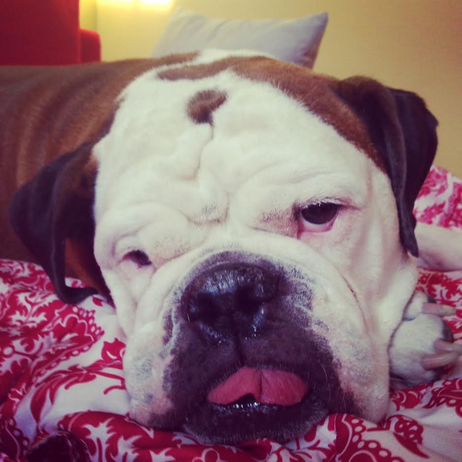 Chicken and Wild Rice Soup for the Soul - Bake This Day Our Daily Bread