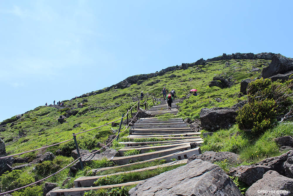 To the summit of the Hallasan mountain! - Malou's Figments