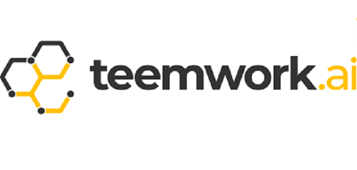 Teemwork.ai : Maps Quality