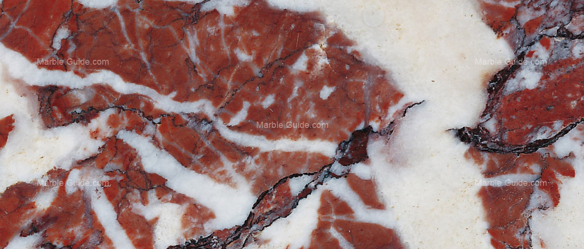 BRECHE ROUGE French marble | Marble Guide