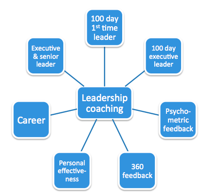 Leadership development – training and coaching – Andi Roberts