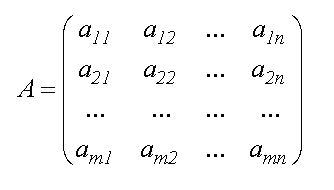 Le matrici: cosa sono e qualche importante utilizzo - Mathone