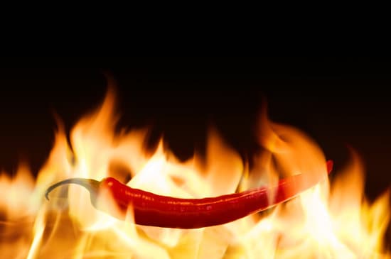 Black Pepper Vs Green Pepper: What Are The Main Differences And ...