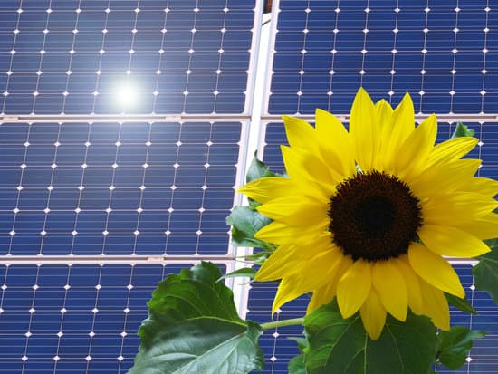 Can Solar Panels Leak? The Risks Of Installing Solar Panels - My Home Niche