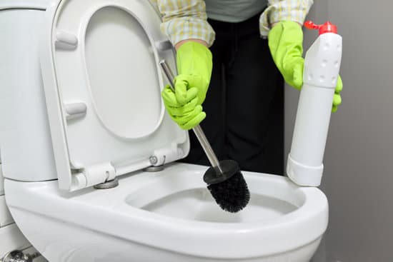 The Truth About Blue Toilet Bowl Cleaner: Does It Stain? - ToiletSense