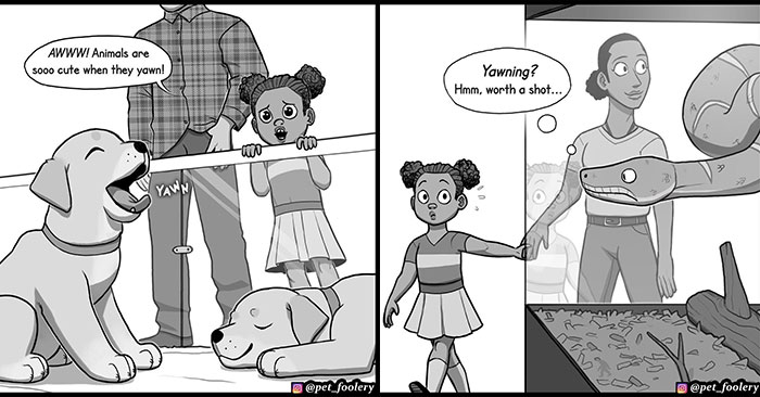 Choosing a New Pet - Snake Comic - Media Chomp