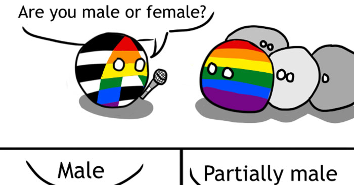 Are You Male or Female? - Gender Spectrum Comic - Media Chomp