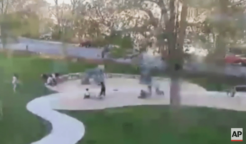 Shocking CCTV footage shows tree falling on children playing in ...