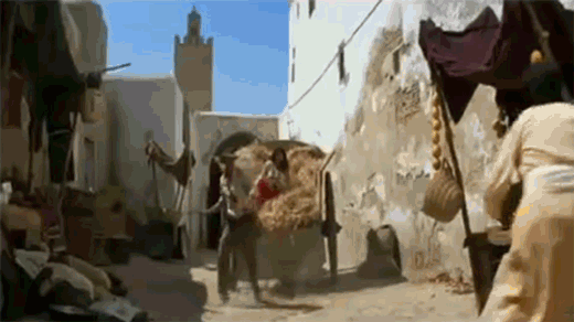 Longest ever whip crack makes Indiana Jones look small-time | Metro News