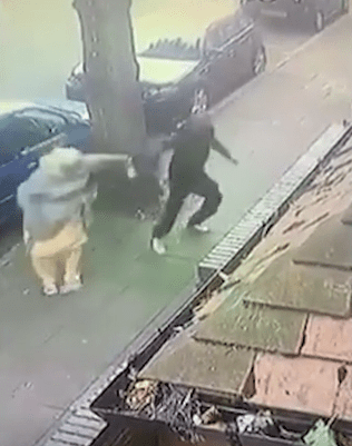 Elderly woman, 72, thrown to the floor in brutal daylight street ...