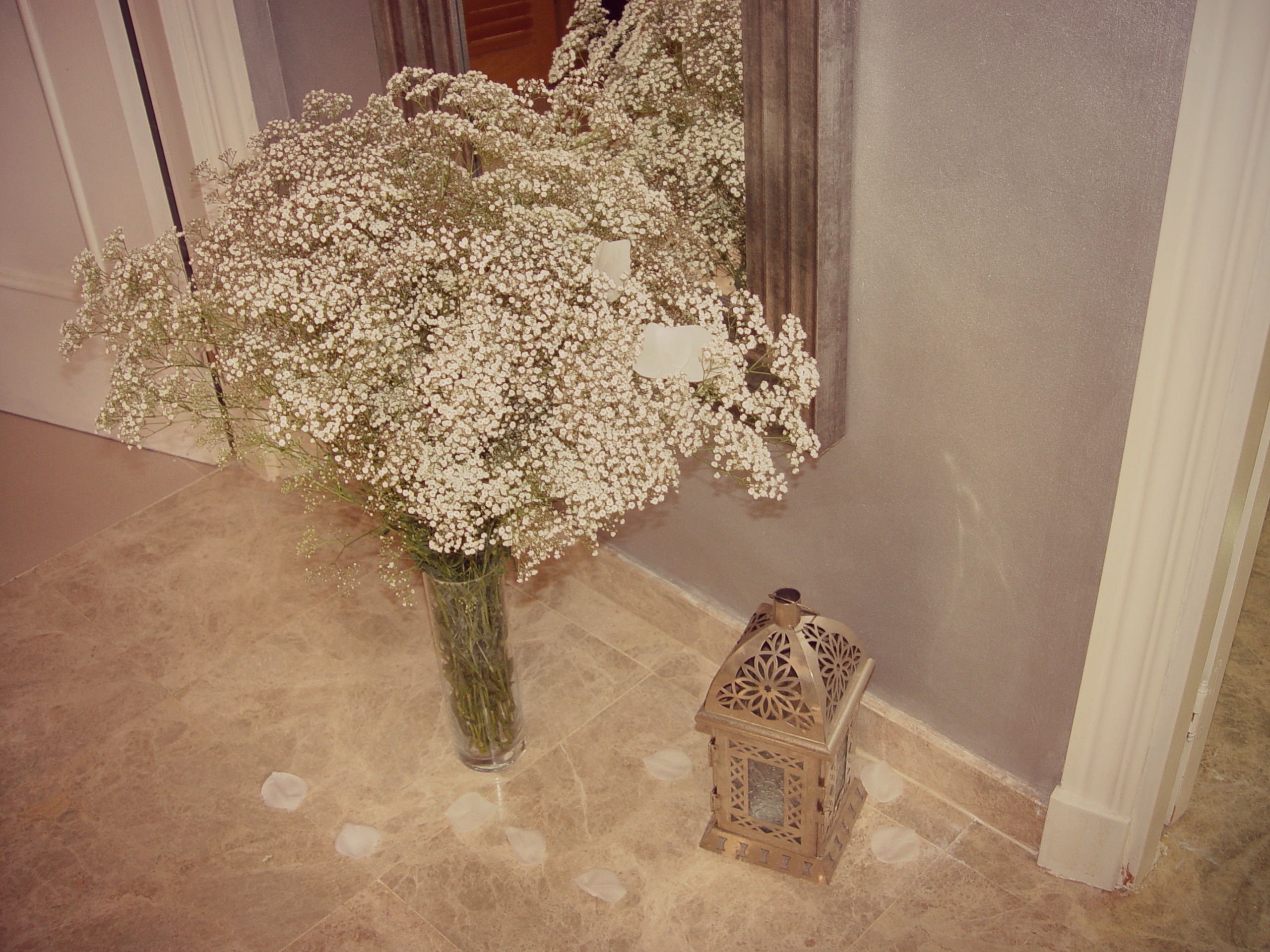 La Sencillez De La Paniculata Mi Boda Diy 4502