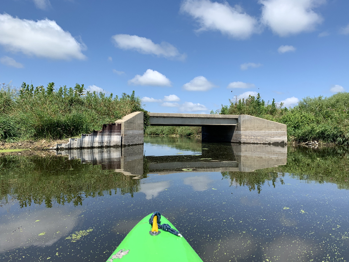 Scuppernong River | Miles Paddled