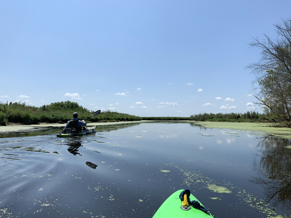 Scuppernong River | Miles Paddled