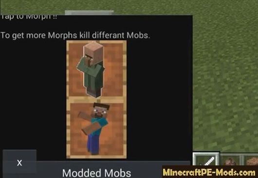 Minecraft Mob Morphing Mod