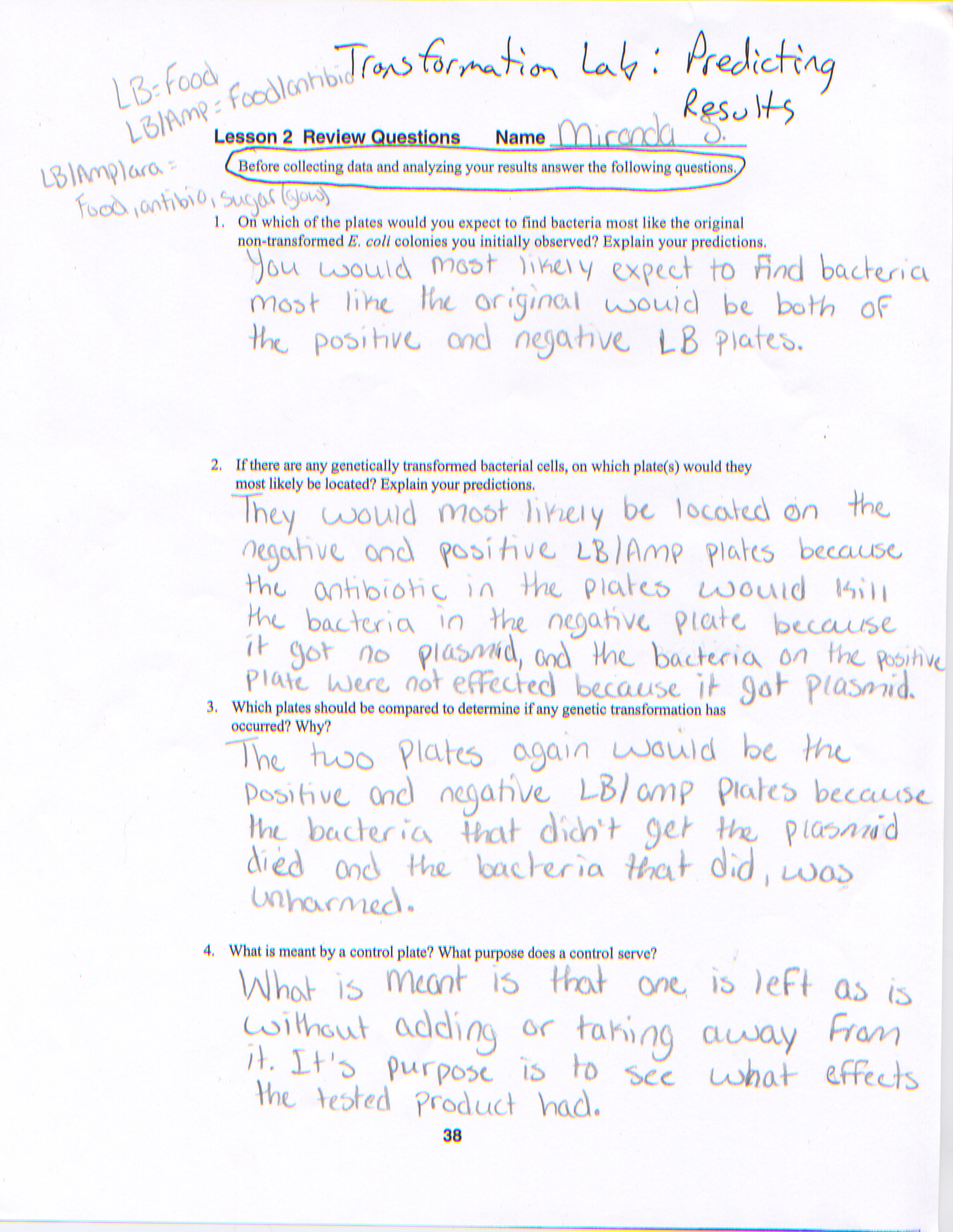 Evolution Webquest Answers evolution-webquest-answers