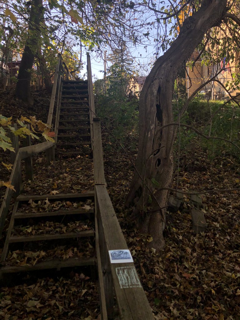 Trip #662 Tonopah Avenue, Beechview - Mis.Steps