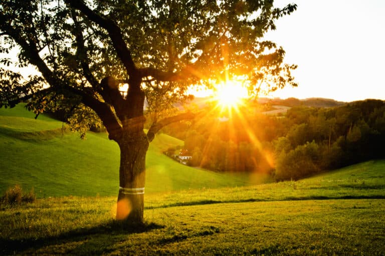 99 Fun Kids Activities to Give Boredom the Boot