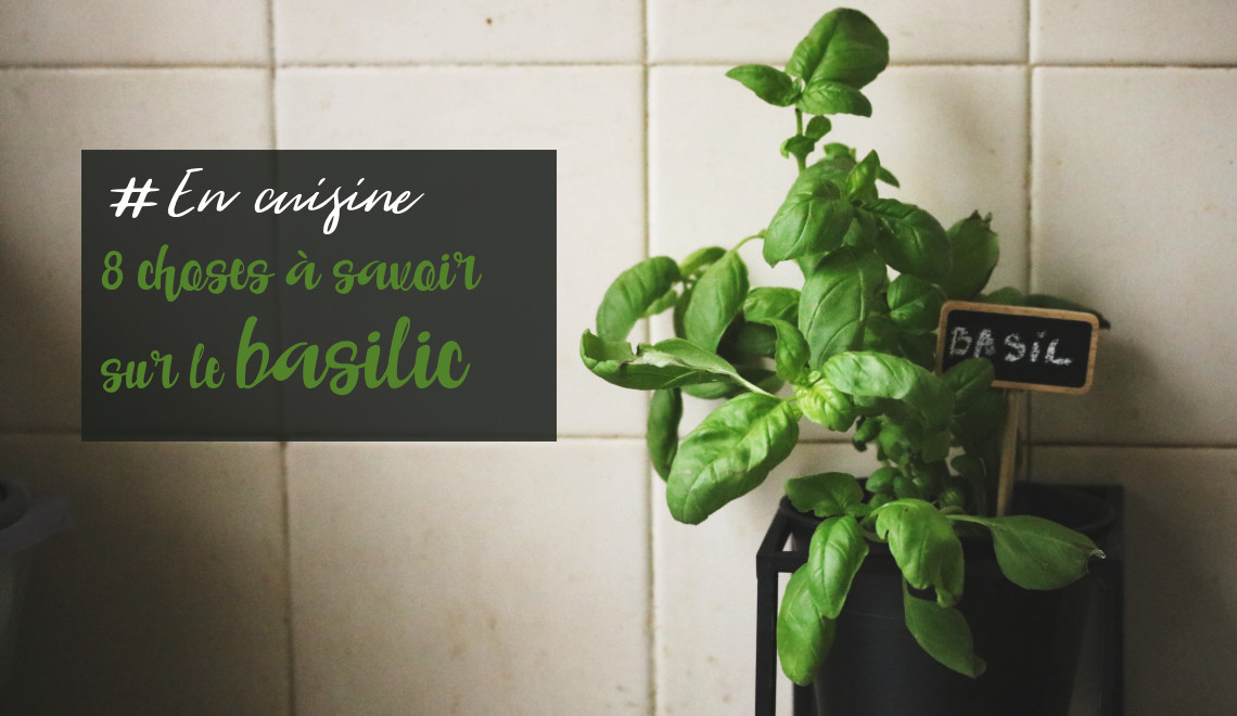 7 choses à savoir pour faire pousser du basilic en pot - Mon petit balcon