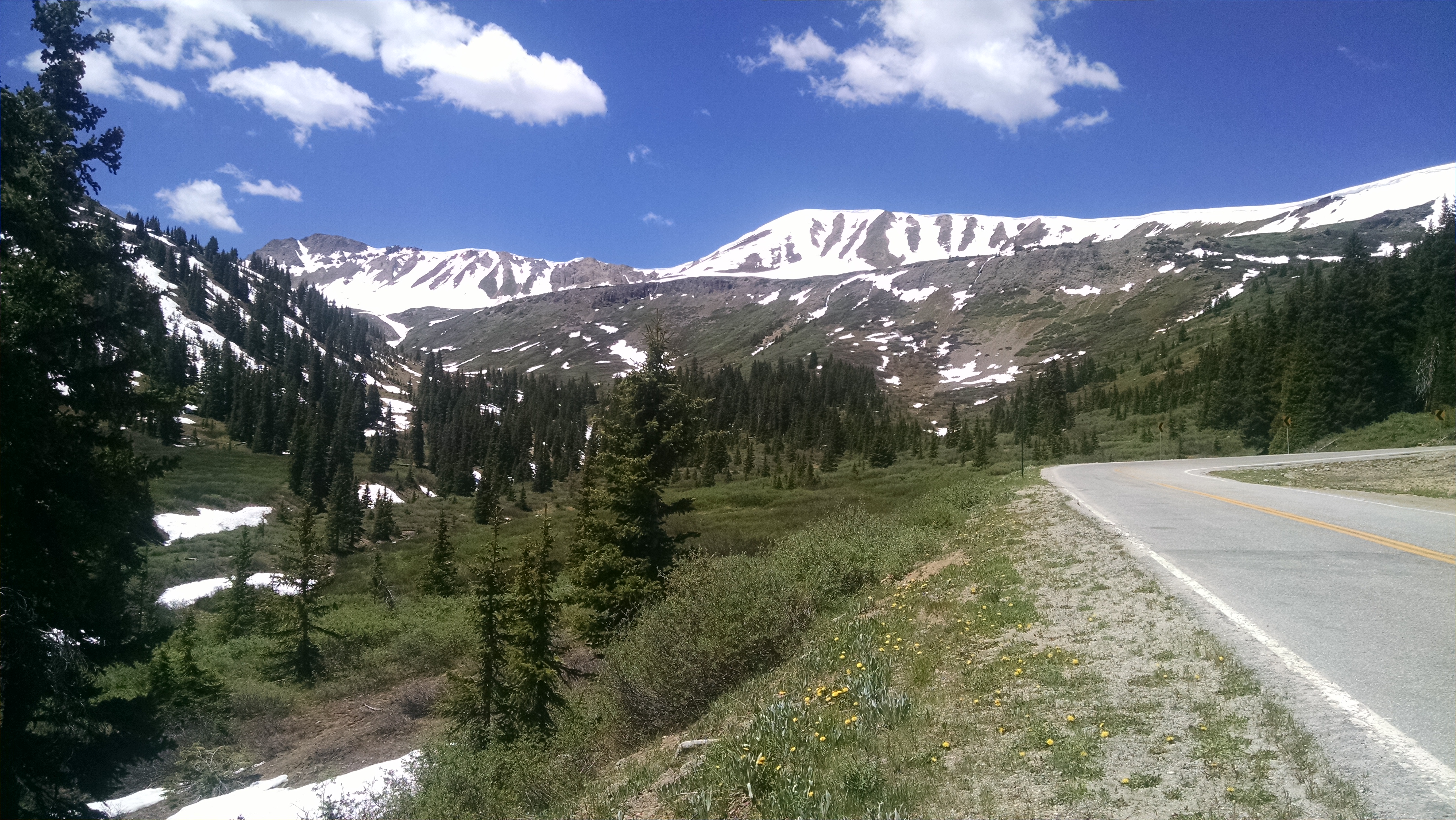 Dr. Zeus Climbs Independence Pass | Adventure Travels and Cat Tales
