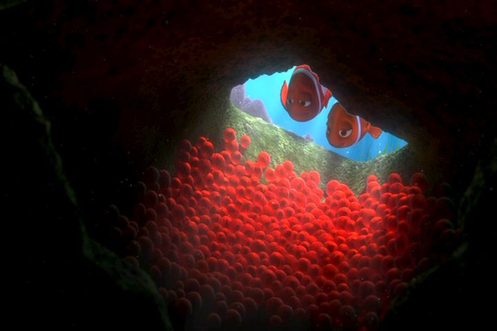 Finding Nemo Is the Saddest Story Ever • Op-Ed