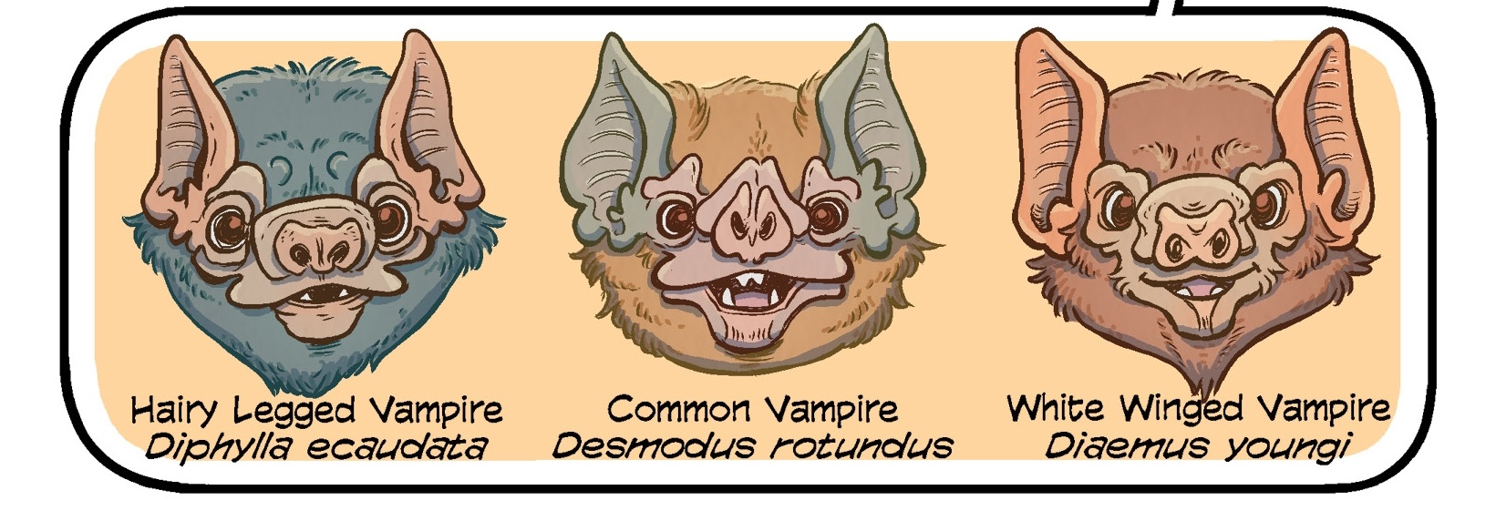 Multiversity Keeps It Real: “Science Comics: Bats” – Multiversity Comics