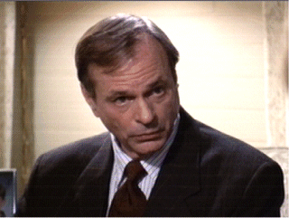 eBay Watch: Dan Devine Feeling Waspish | MVictors.com - Michigan ...