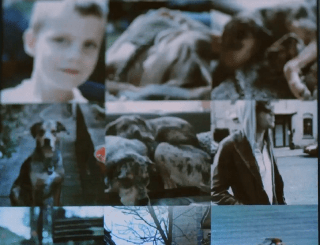 Gallery: Nokia N9 MeeGo UI Screenshots? : My Nokia Blog - 200