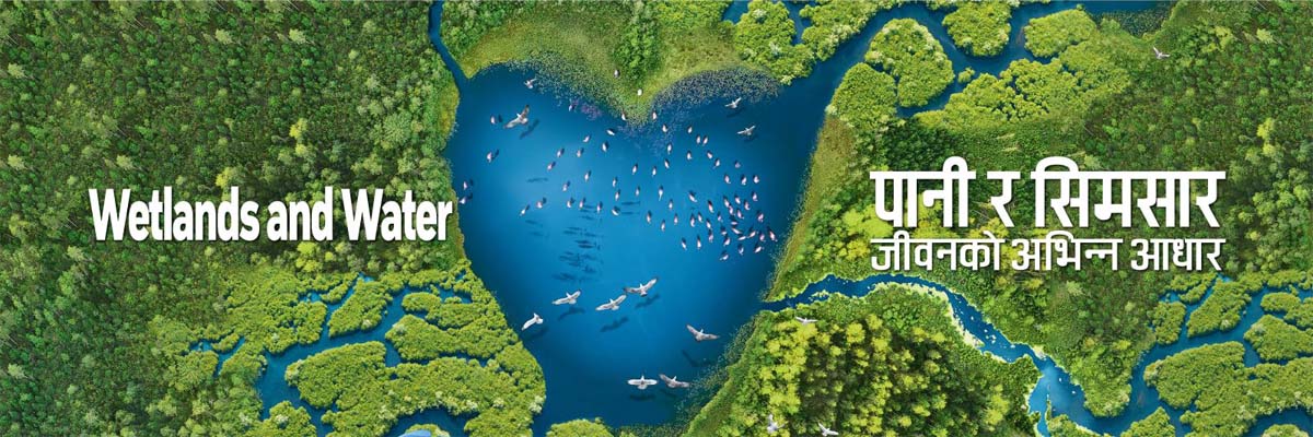 सिमसार दिवस: मन्त्रीले भन्दा सचिवले बोले दमदार कुरा | nepalkatha.com